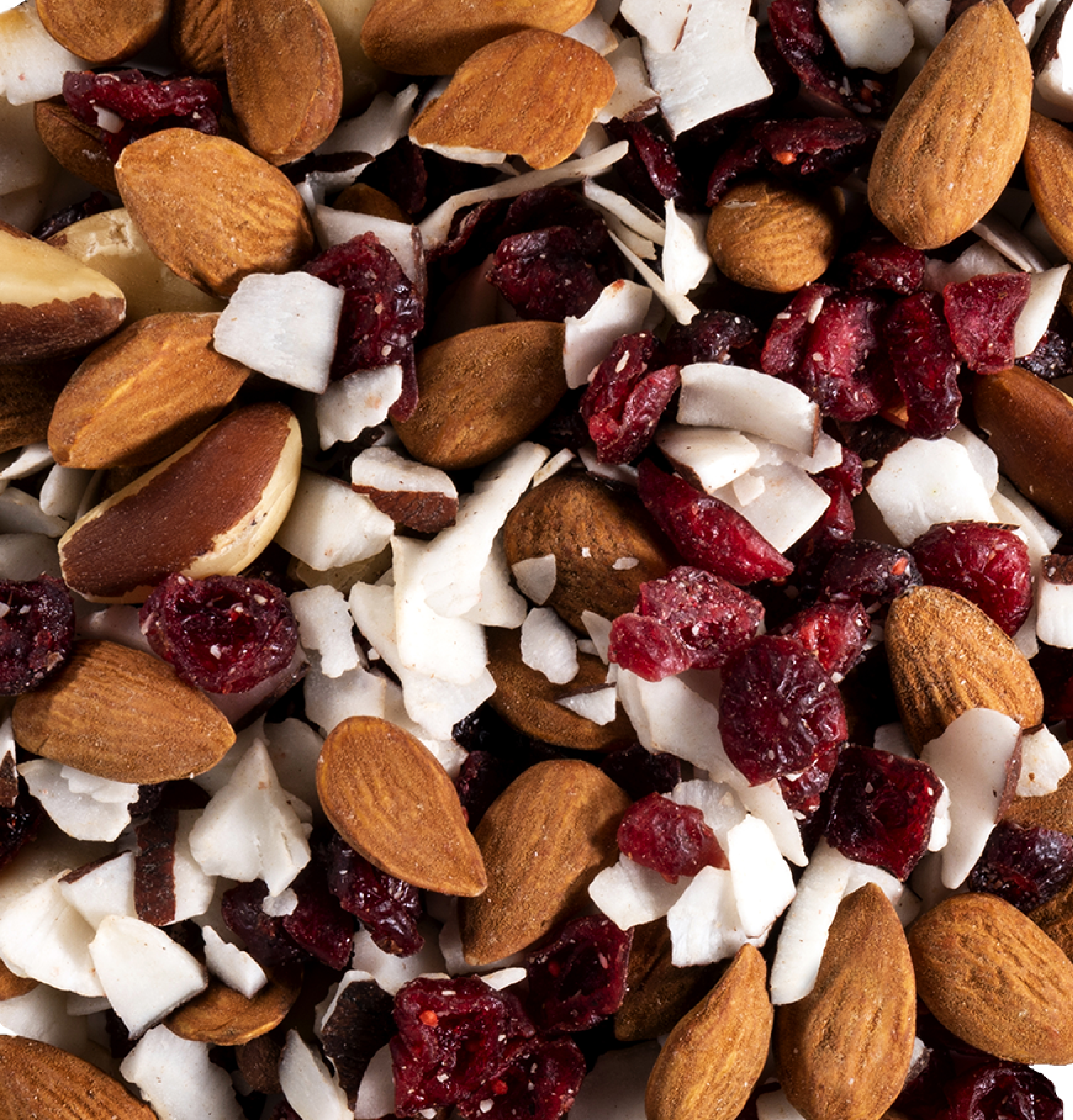 LES FADAS DE FRUITS SECS